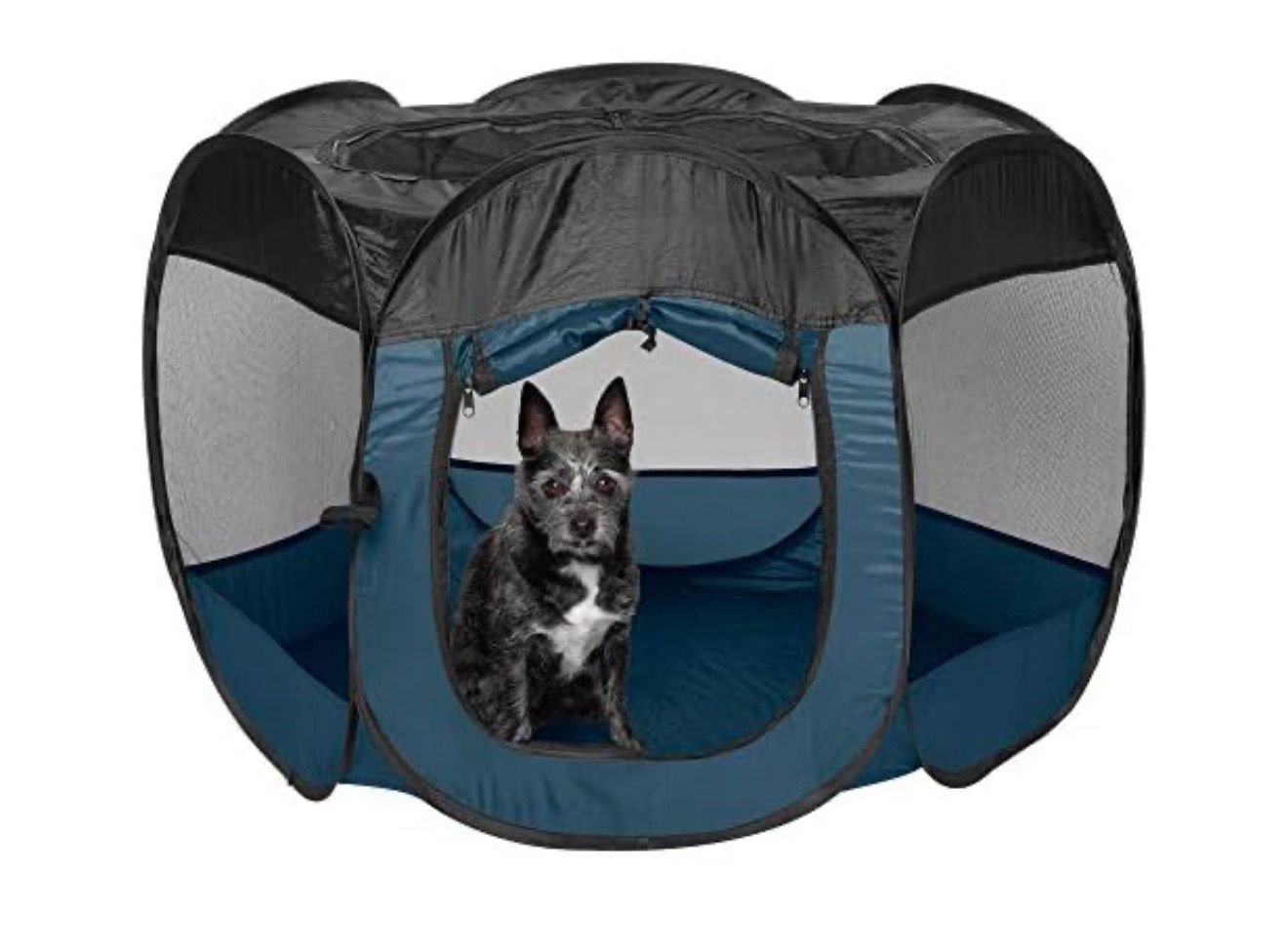 New Pet Deals at Woot Save Big on Pet Essentials - Mama Deals